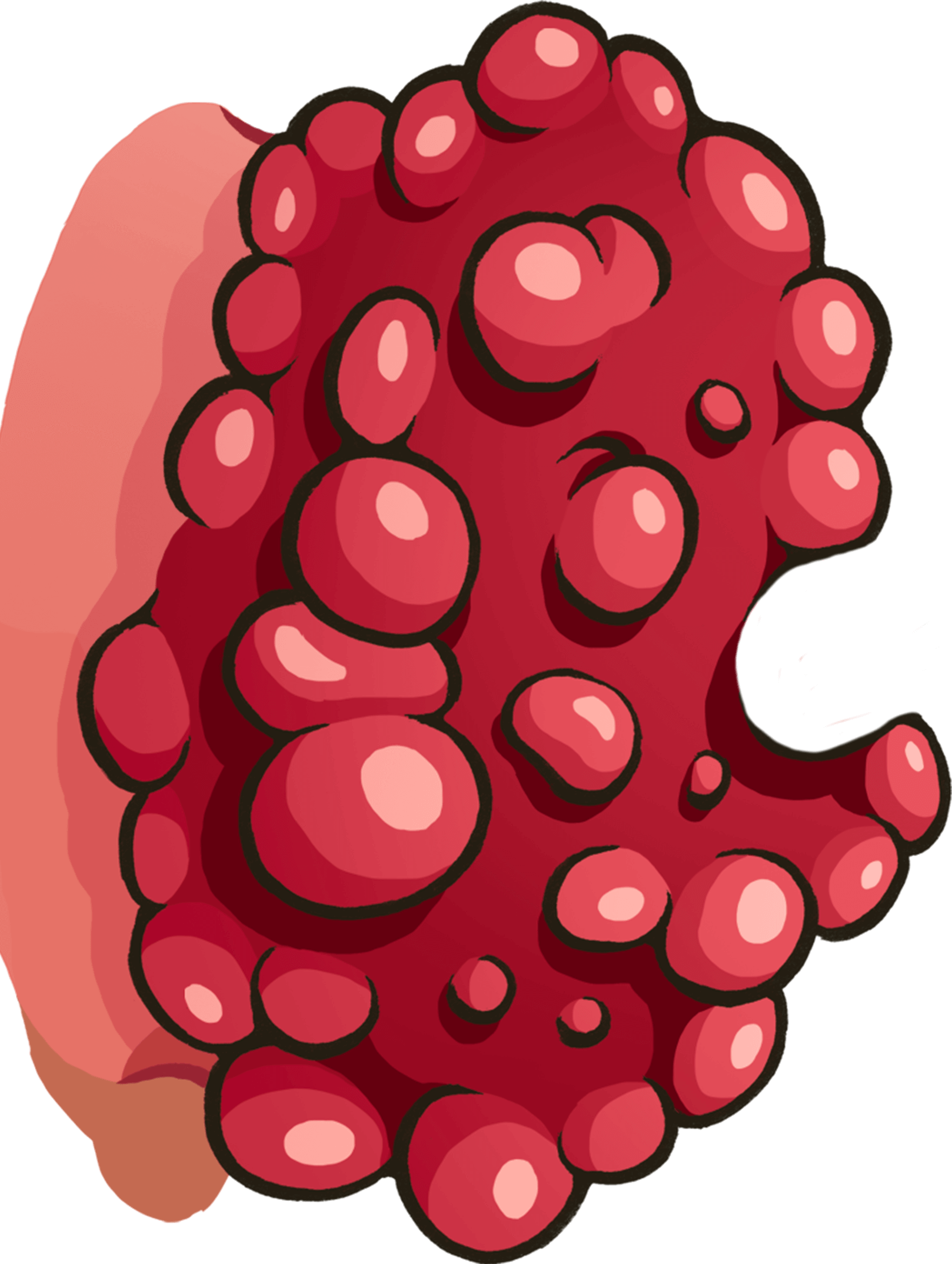 The wonderful colon diving experience